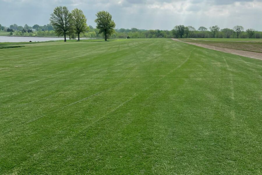 Sports and Golf Course Turf Grass – Helts Turf Farm